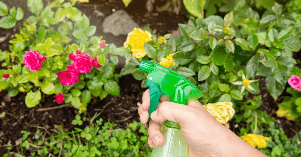 7 Natural Ways to Deter Garden Pests - Gardentroop
