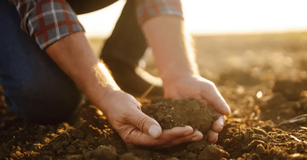 7 Ways To Prepare Your Ground Before Growing