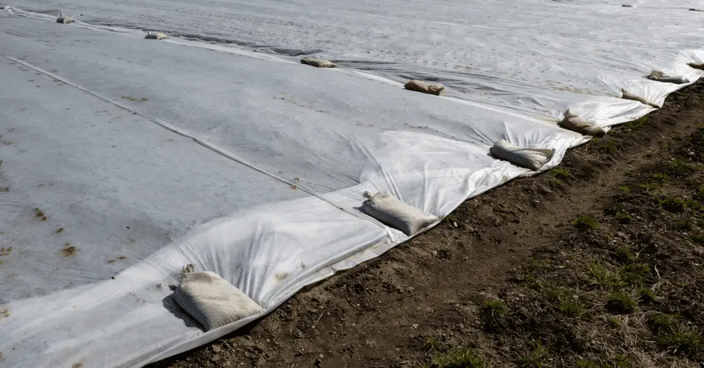 Top 6 Types Of Mulch And How To Use Them