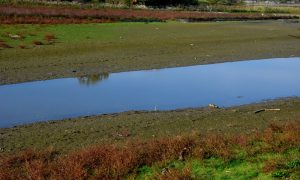 The Benefits Of Homemade Compost (And How To Make It)